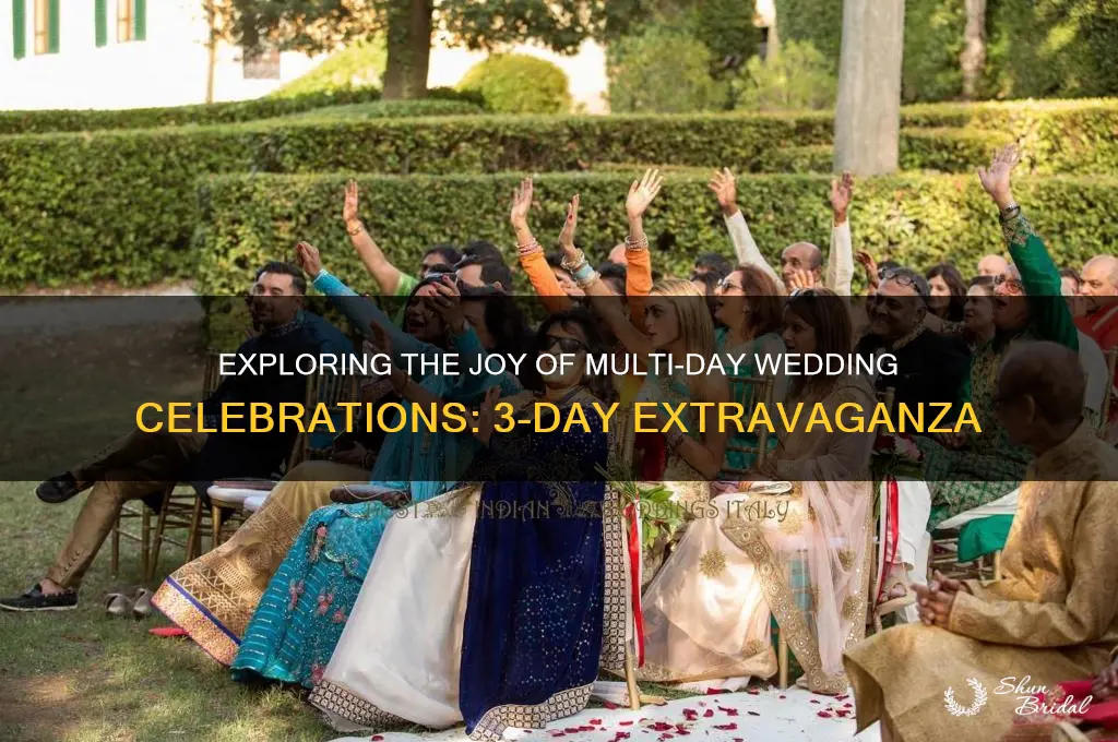 Exploring The Joy Of Multi-Day Wedding Celebrations: 3-Day Extravaganza ...