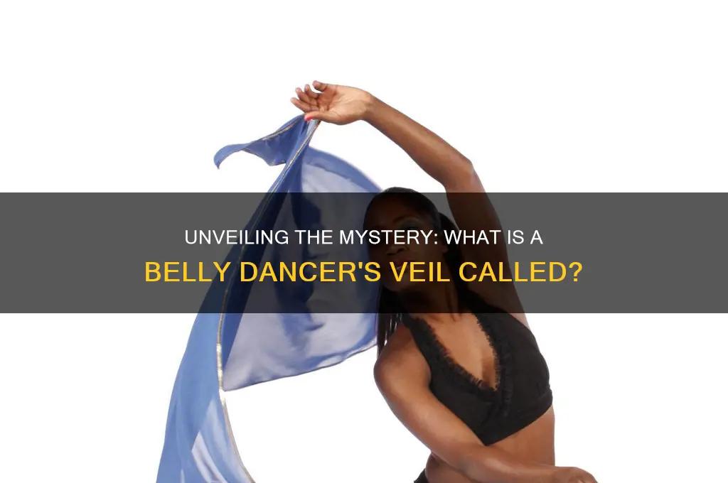 Unveiling The Mystery: What Is A Belly Dancer's Veil Called? | ShunBridal