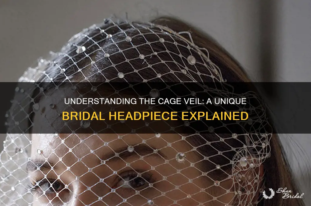 Understanding The Cage Veil: A Unique Bridal Headpiece Explained ...