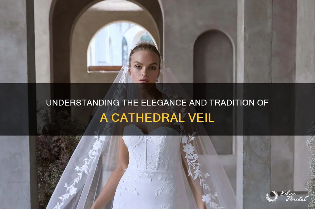 Understanding The Elegance And Tradition Of A Cathedral Veil | ShunBridal