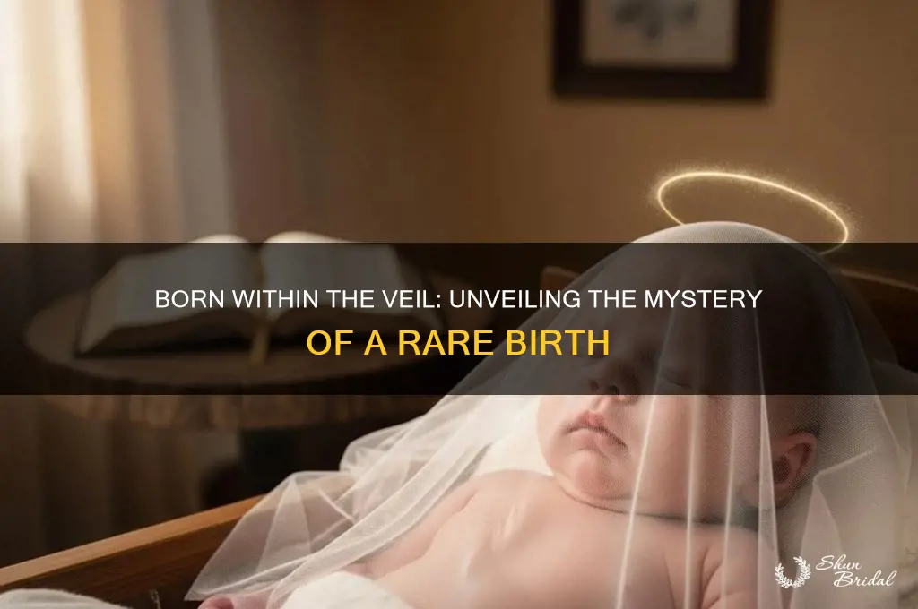 Born Within The Veil: Unveiling The Mystery Of A Rare Birth | ShunBridal