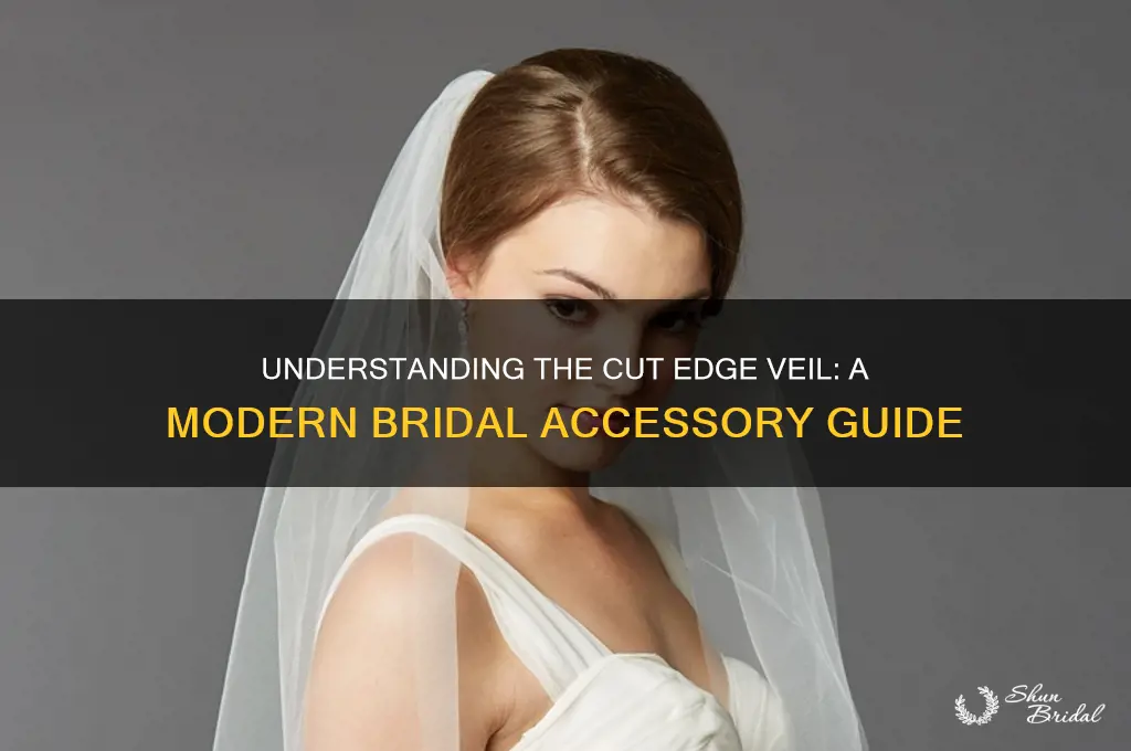 Understanding The Cut Edge Veil: A Modern Bridal Accessory Guide ...