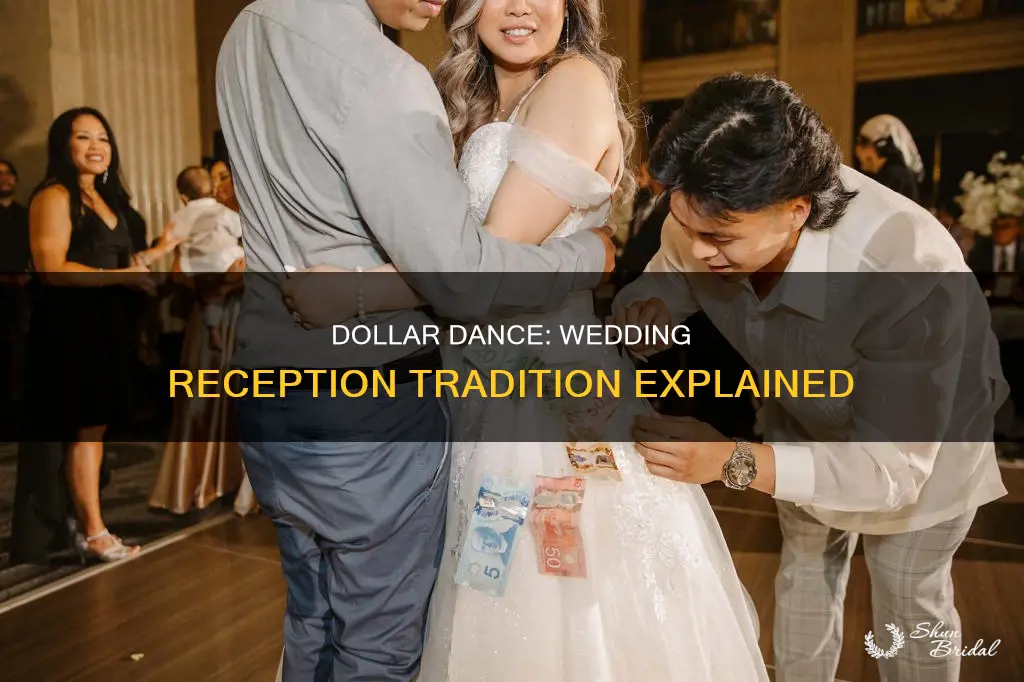 Dollar Dance: Wedding Reception Tradition Explained | ShunBridal