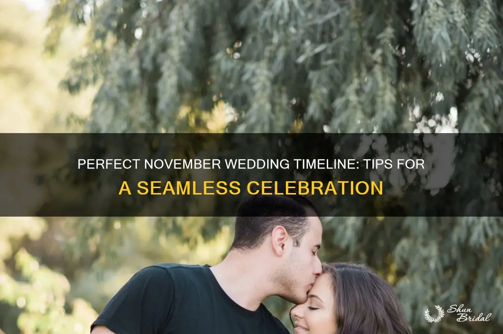 Perfect November Wedding Timeline: Tips For A Seamless Celebration ...