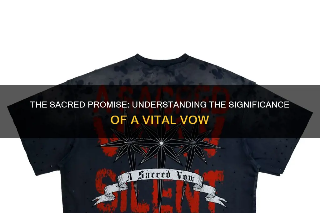 The Sacred Promise: Understanding The Significance Of A Vital Vow ...