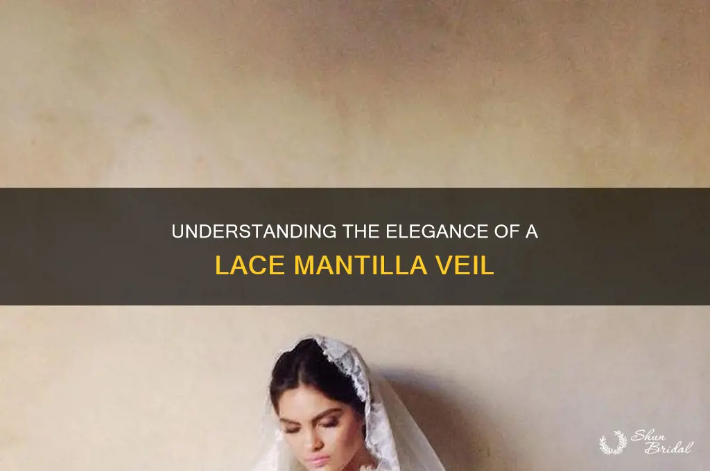 Understanding The Elegance Of A Lace Mantilla Veil | ShunBridal