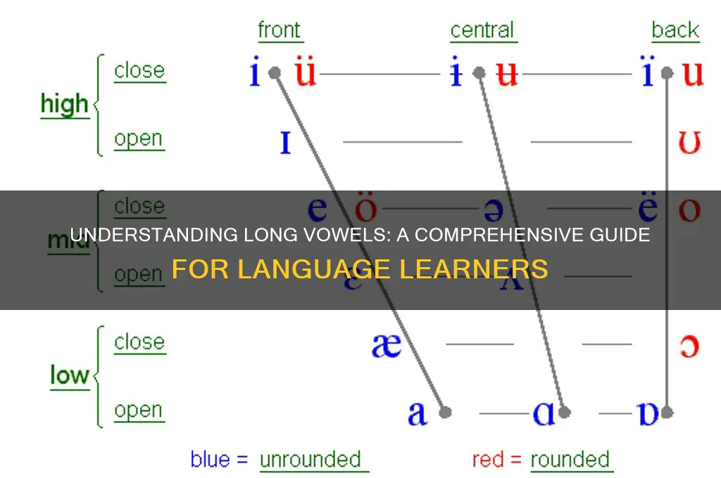 Understanding Long Vowels: A Comprehensive Guide For Language Learners ...