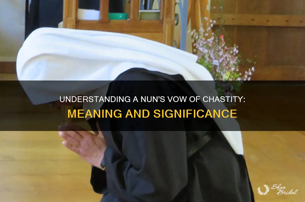 Understanding A Nun's Vow Of Chastity: Meaning And Significance ...