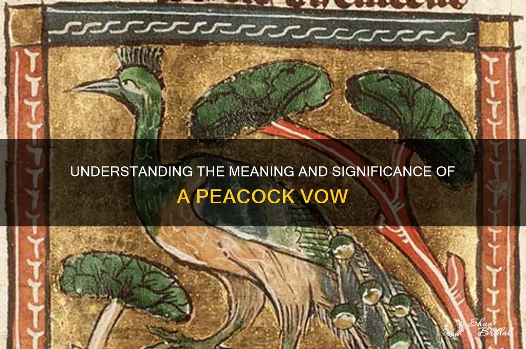 Understanding The Meaning And Significance Of A Peacock Vow | ShunBridal