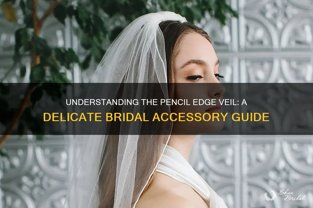 Understanding The Pencil Edge Veil: A Delicate Bridal Accessory Guide ...