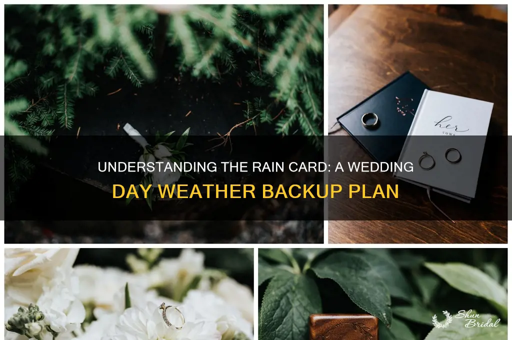Understanding The Rain Card: A Wedding Day Weather Backup Plan | ShunBridal
