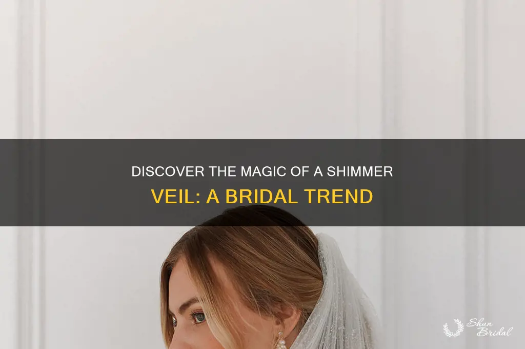 Discover The Magic Of A Shimmer Veil: A Bridal Trend | ShunBridal
