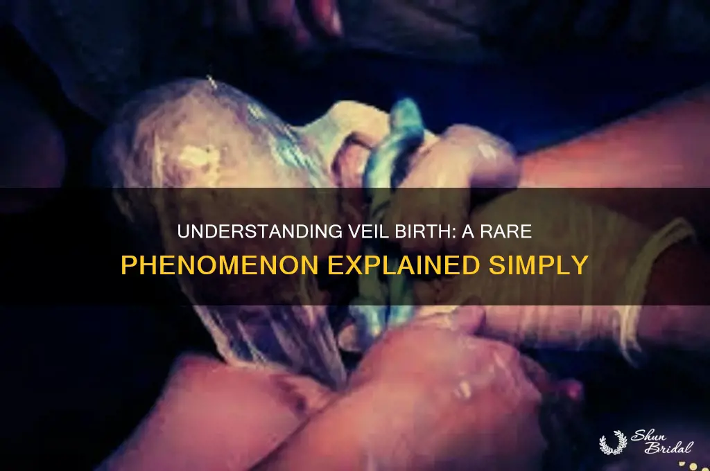 Understanding Veil Birth: A Rare Phenomenon Explained Simply | ShunBridal