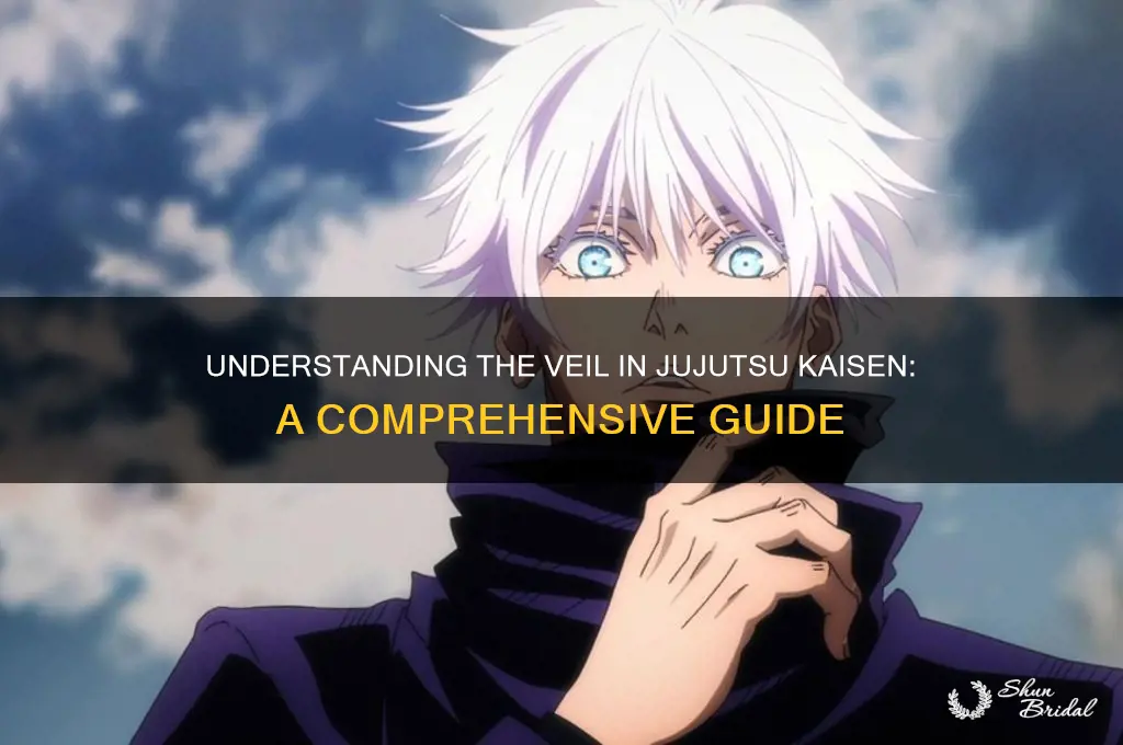 Understanding The Veil In Jujutsu Kaisen: A Comprehensive Guide ...