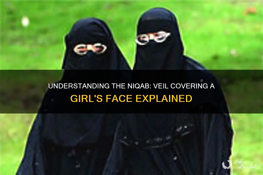 Understanding The Niqab: Veil Covering A Girl's Face Explained | ShunBridal