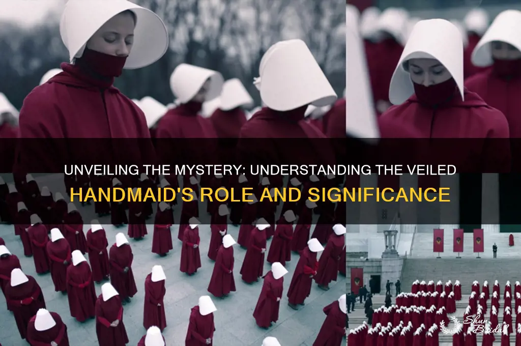 Unveiling The Mystery: Understanding The Veiled Handmaid's Role And ...