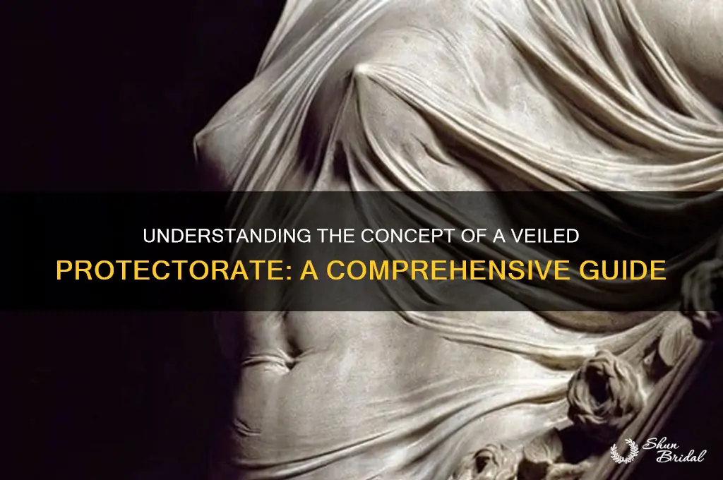 Understanding The Concept Of A Veiled Protectorate: A Comprehensive ...