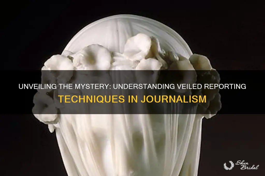 Unveiling The Mystery: Understanding Veiled Reporting Techniques In ...