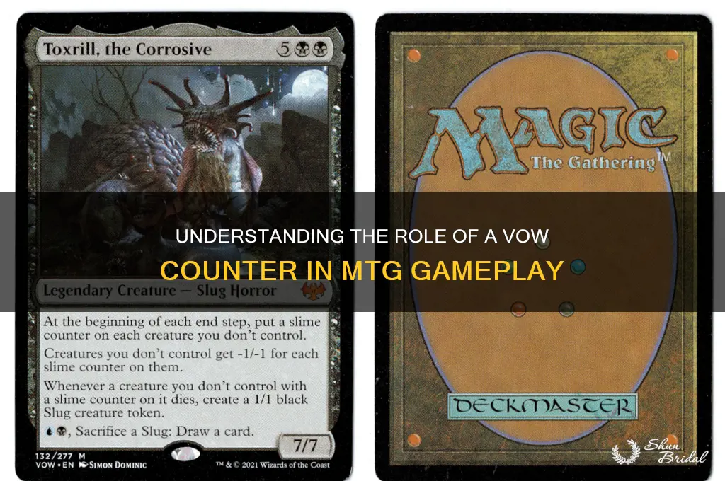 Understanding The Role Of A Vow Counter In Mtg Gameplay | ShunBridal