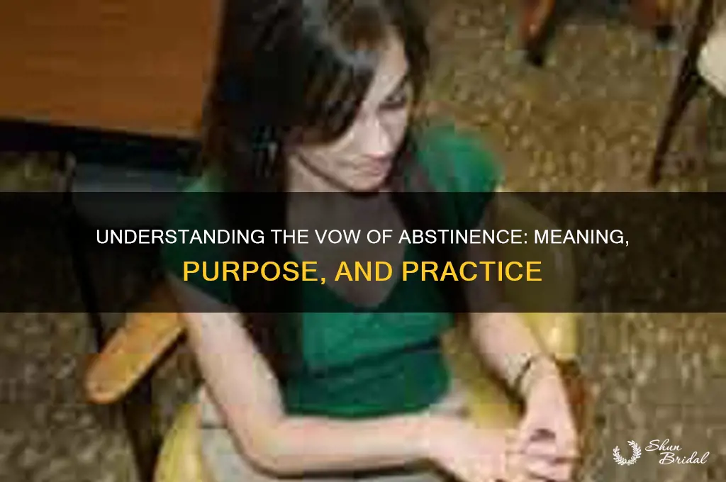 Understanding The Vow Of Abstinence: Meaning, Purpose, And Practice ...