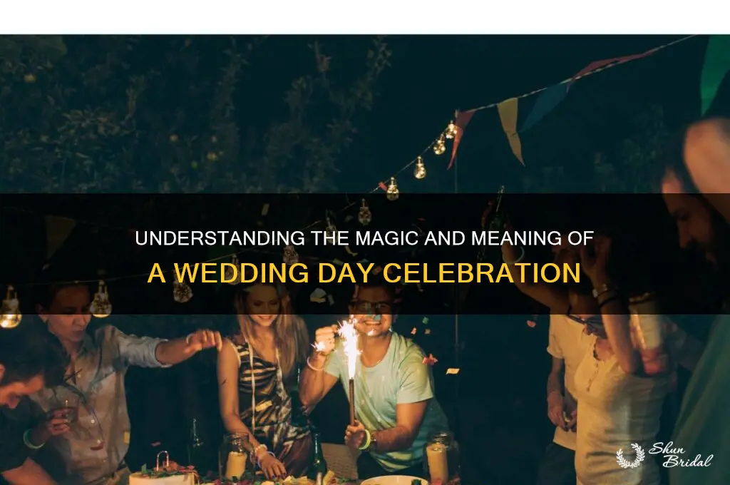 Understanding The Magic And Meaning Of A Wedding Day Celebration ...