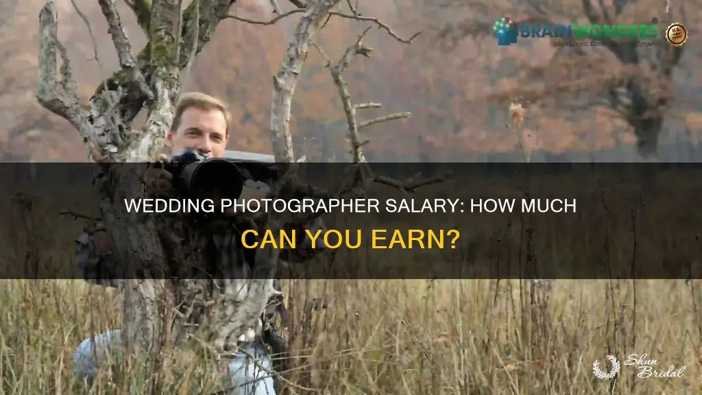 Wedding Photographer Salary: How Much Can You Earn? | ShunBridal
