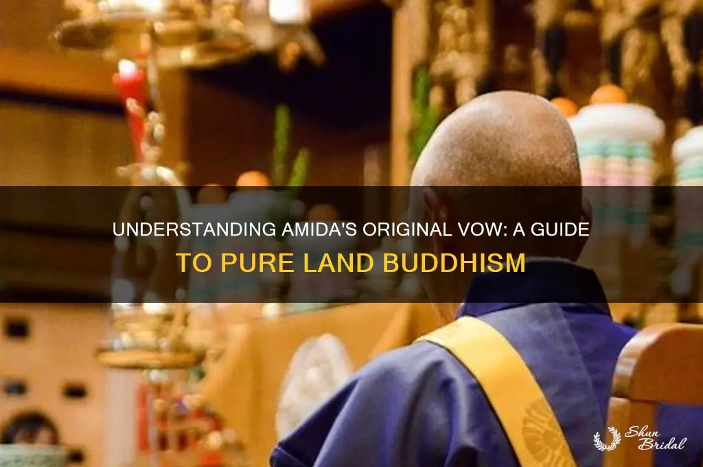Understanding Amida's Original Vow: A Guide To Pure Land Buddhism ...