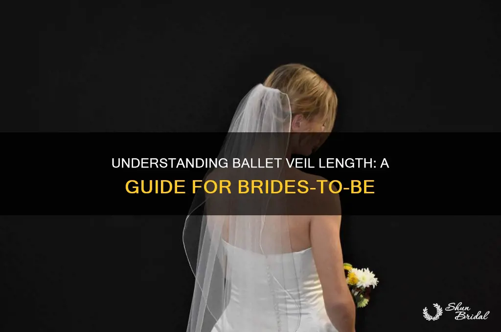 Understanding Ballet Veil Length: A Guide For Brides-To-Be | ShunBridal