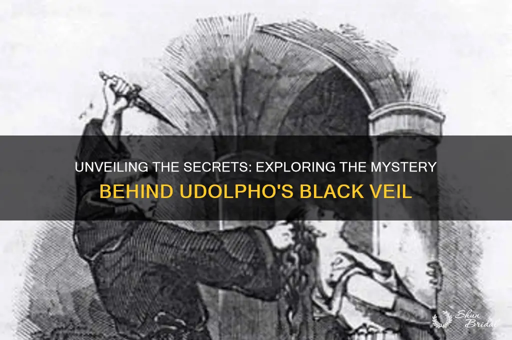 Unveiling The Secrets: Exploring The Mystery Behind Udolpho's Black ...
