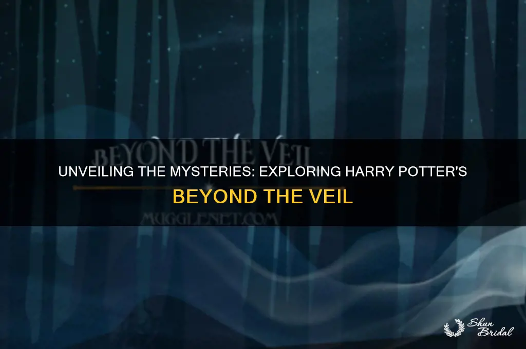 Unveiling The Mysteries: Exploring Harry Potter's Beyond The Veil ...