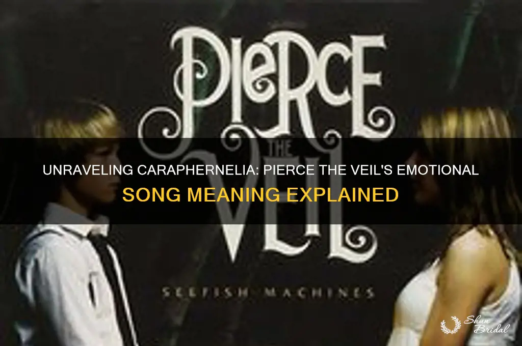 Unraveling Caraphernelia: Pierce The Veil's Emotional Song Meaning ...