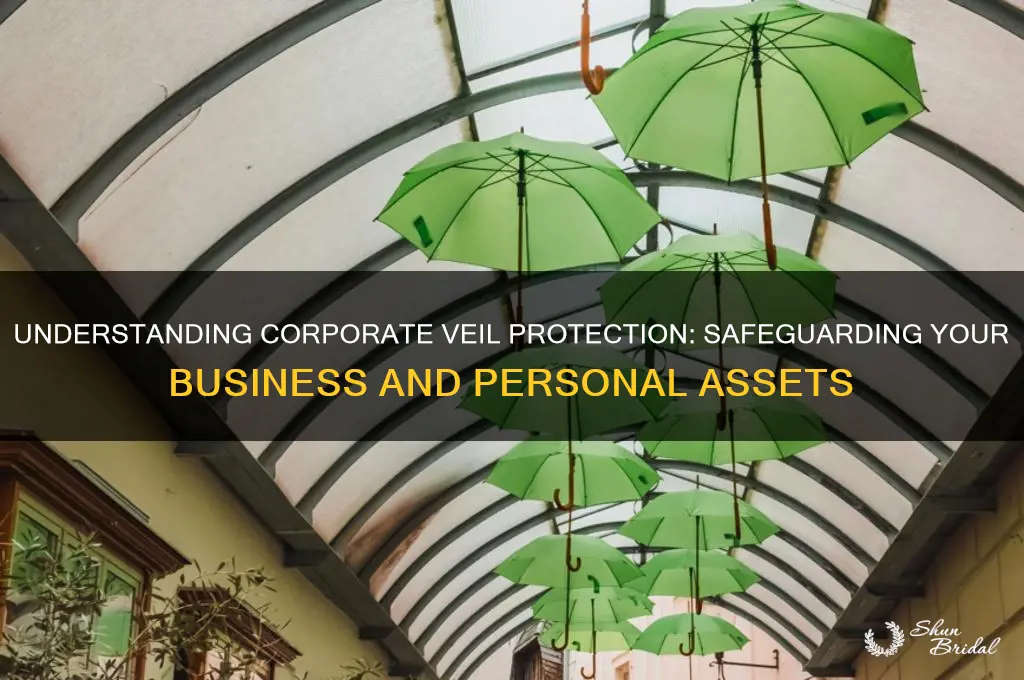 Understanding Corporate Veil Protection: Safeguarding Your Business And ...