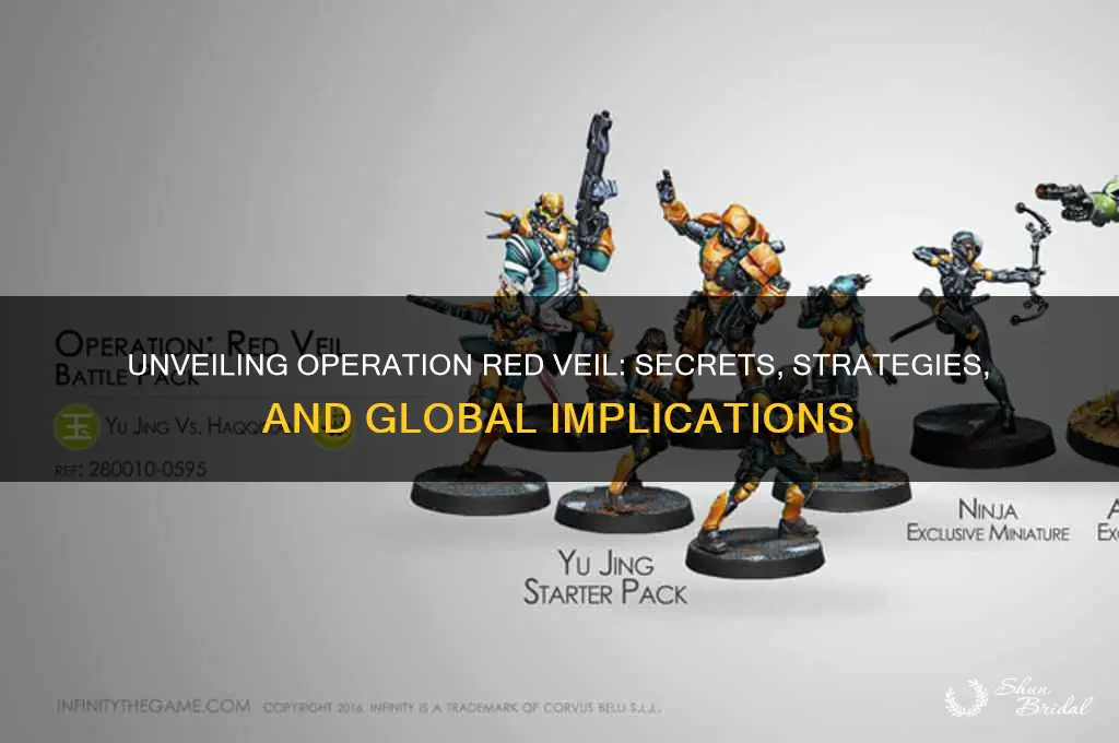 Unveiling Operation Red Veil: Secrets, Strategies, And Global ...