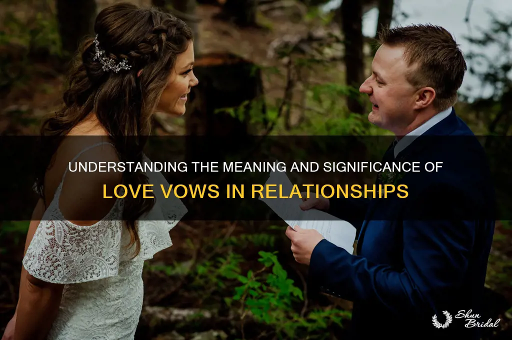 Understanding The Meaning And Significance Of Love Vows In ...