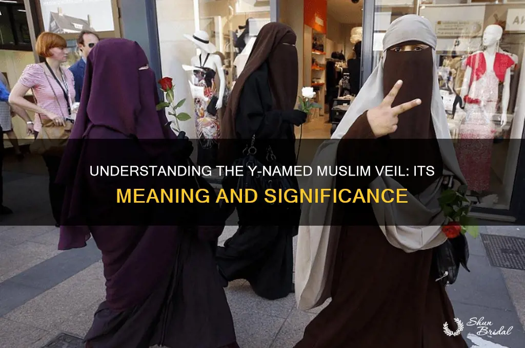 Understanding The Y-Named Muslim Veil: Its Meaning And Significance ...