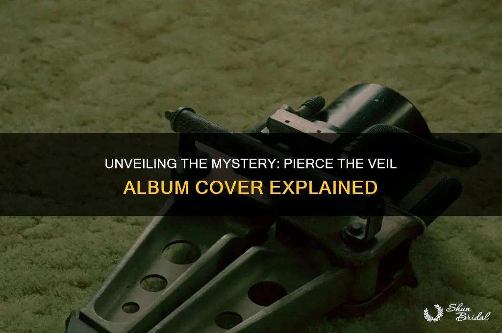 Unveiling The Mystery: Pierce The Veil Album Cover Explained | ShunBridal