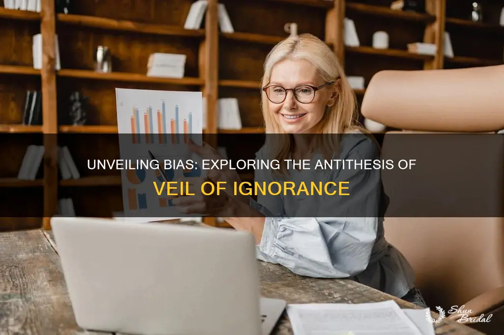 Unveiling Bias: Exploring The Antithesis Of Veil Of Ignorance | ShunBridal