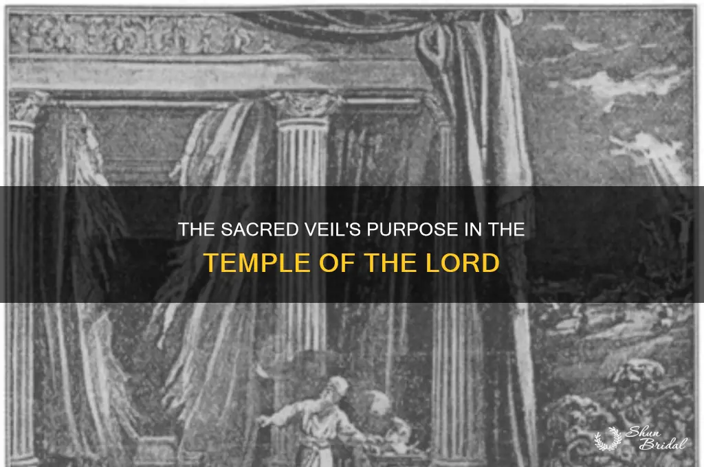 The Sacred Veil's Purpose In The Temple Of The Lord | ShunBridal