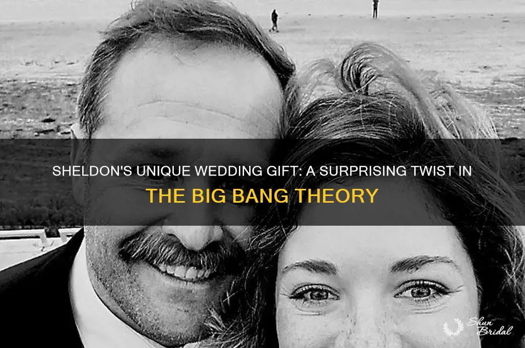 Sheldon's Unique Wedding Gift: A Surprising Twist In The Big Bang ...