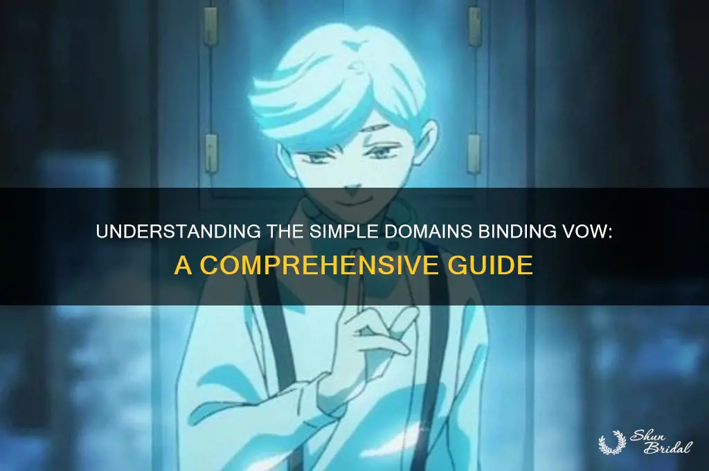 Understanding The Simple Domains Binding Vow: A Comprehensive Guide ...
