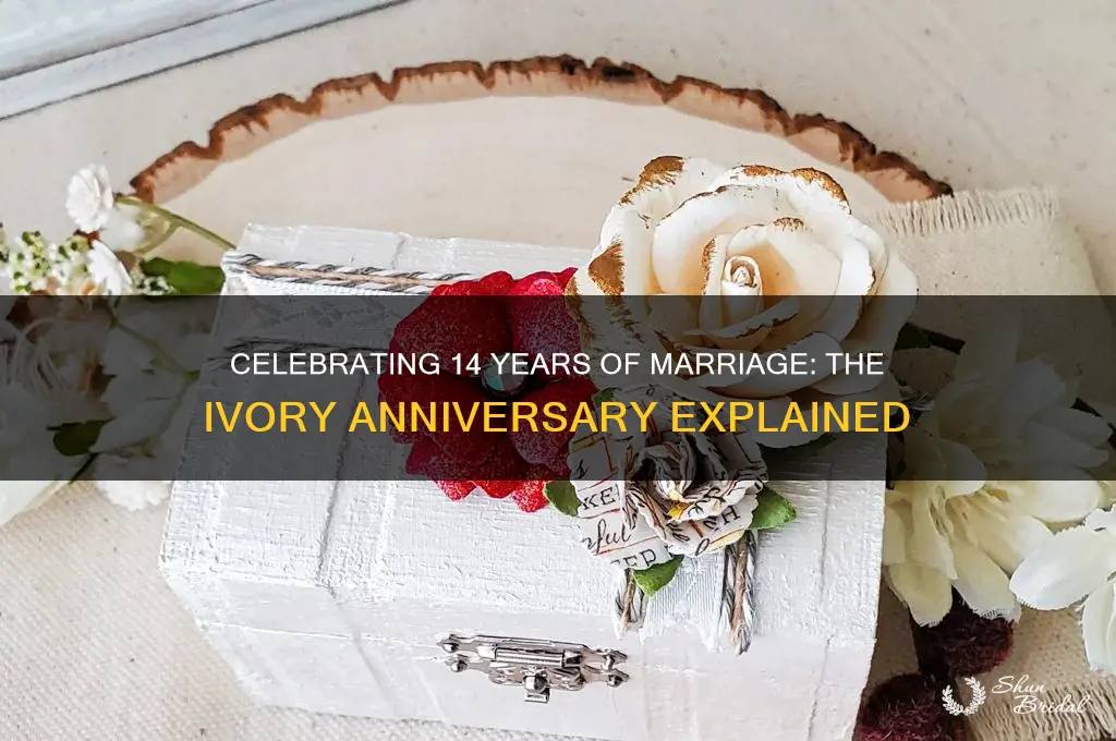 Celebrating 14 Years Of Marriage: The Ivory Anniversary Explained ...