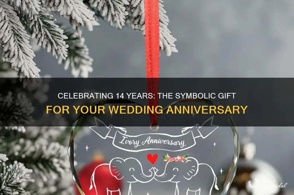 Celebrating 14 Years: The Symbolic Gift For Your Wedding Anniversary ...