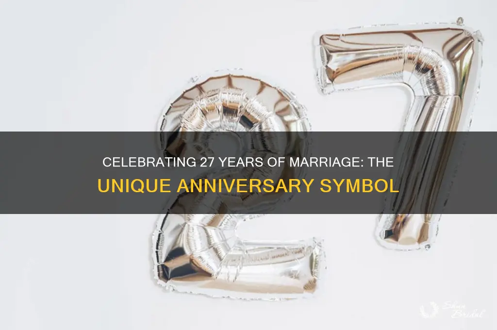 Celebrating 27 Years Of Marriage: The Unique Anniversary Symbol ...