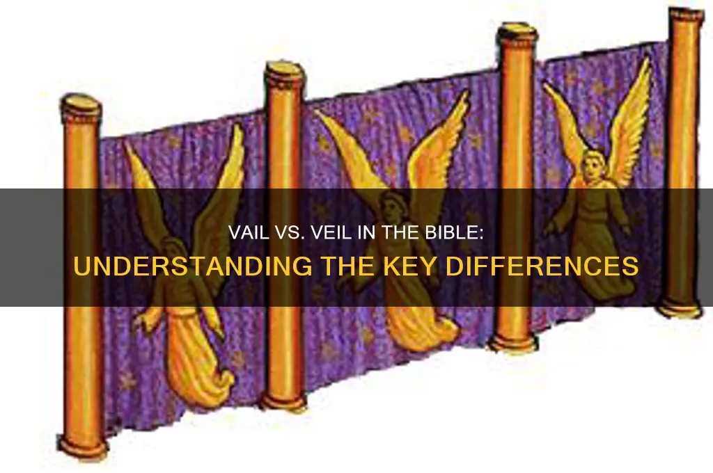 Vail Vs. Veil In The Bible: Understanding The Key Differences | ShunBridal