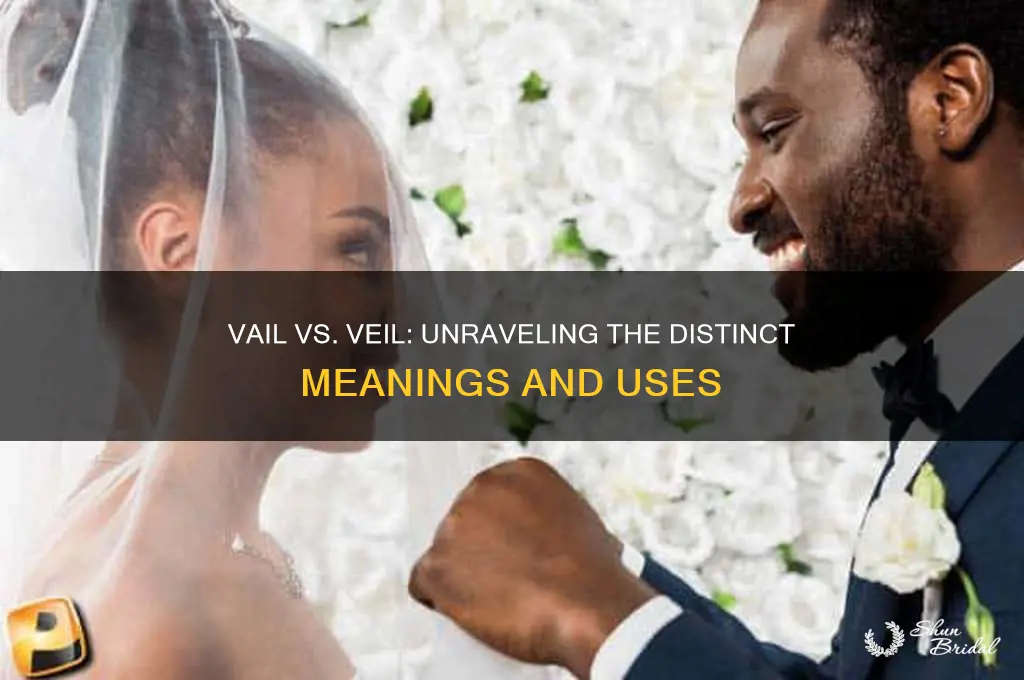 Vail Vs. Veil: Unraveling The Distinct Meanings And Uses | ShunBridal