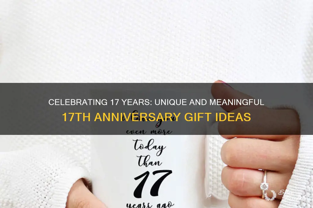 Celebrating 17 Years: Unique And Meaningful 17Th Anniversary Gift Ideas ...