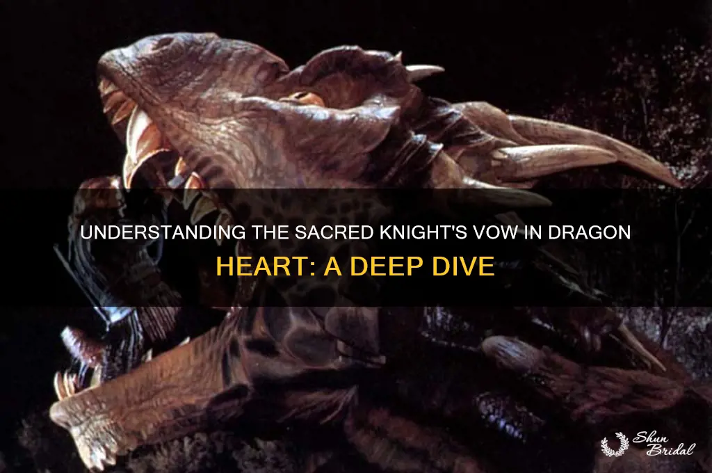 Understanding The Sacred Knight's Vow In Dragon Heart: A Deep Dive ...