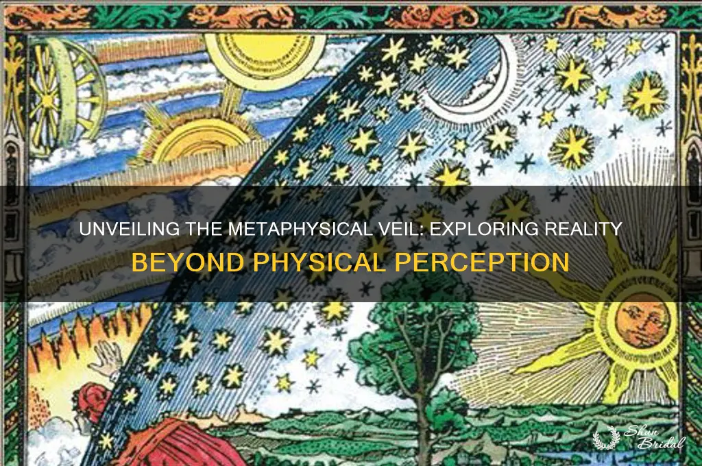 Unveiling The Metaphysical Veil: Exploring Reality Beyond Physical ...