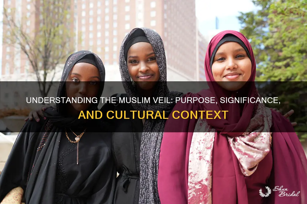Understanding The Muslim Veil: Purpose, Significance, And Cultural ...