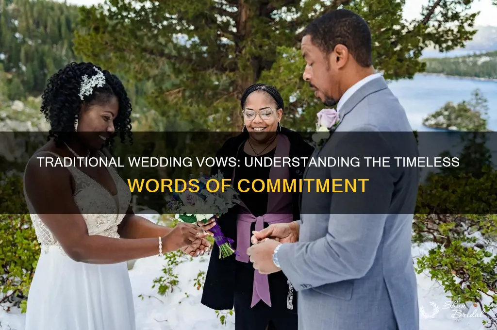 Traditional Wedding Vows: Understanding The Timeless Words Of ...